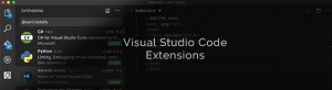 A Collection of Useful Extensions for VSCode - Ihatetomatoes
